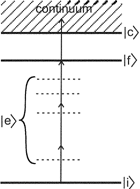 The role of intermediate state polarization in determination of vector ...