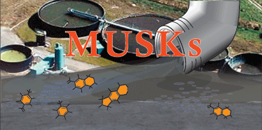 Determination of synthetic musk compounds in sewage biosolids by gas ...