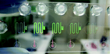Single-step fabrication and characterization of photonic crystal ...