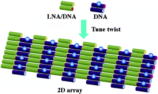 Two-dimensional LNA/DNA arrays: estimating the helicity of LNA/DNA ...