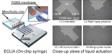 On-chip syringe pumps for picoliter-scale liquid manipulation - Lab on ...