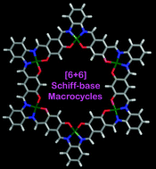 [6 + 6] Schiff-base macrocycles with 12 imines: giant analogues of ...