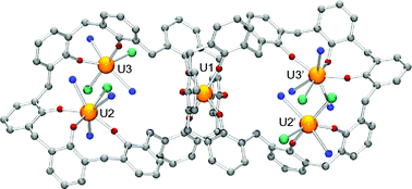Synthesis and crystal structure of uranium(iv) complexes with calix[n ...