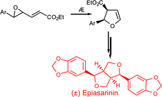 The dihydrofuran template approach to furofuran synthesis - Organic ...
