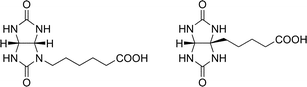 Avidin and streptavidin ligands based on the glycoluril bicyclic system ...