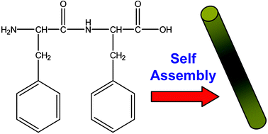 Self-assembled peptide nanostructures: the design of molecular building ...