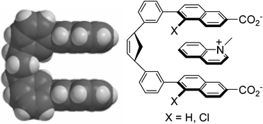 A modular molecular tweezer designed using CAVEAT - Chemical ...