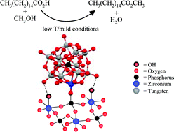Zirconium phosphate supported tungsten oxide solid acid catalysts for ...