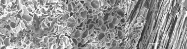 Macroporous elastic polyacrylamide gels prepared at subzero ...