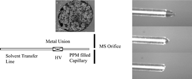 Lectin affinity chromatography using porous polymer monolith assisted ...