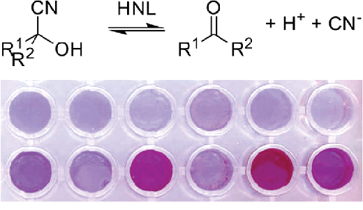 A high-throughput screening assay for hydroxynitrile lyase activity ...