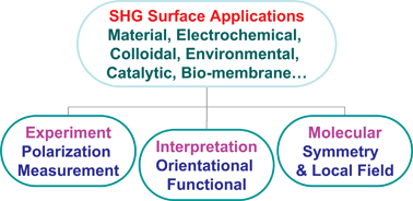 Quantitative measurement and interpretation of optical second harmonic ...