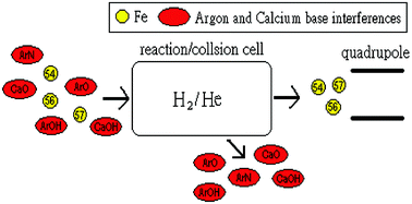 Determination of iron in plant samples using isotope dilution ...