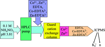 Simultaneous determination of two conditional stability constants by IC ...