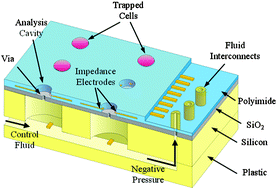 Ion channel characterization using single cell impedance spectroscopy ...