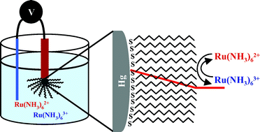 Studying electron transfer through alkanethiol self-assembled ...