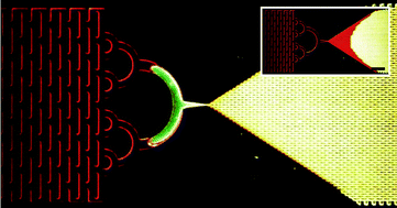Capillary pumps for autonomous capillary systems - Lab on a Chip (RSC ...