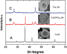 Conversion of Cu2O nanocrystals into hollow Cu2−xSe nanocages with the ...