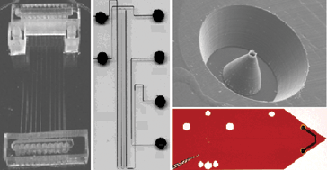 Proteome-on-a-chip: Mirage, or on the horizon? - Lab on a Chip (RSC ...