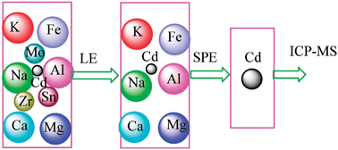 Elimination of matrix effect and spectral interference by two compactly ...