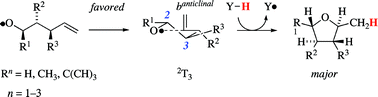 On the stereoselectivity of 4-penten-1-oxyl radical 5-exo-trig ...
