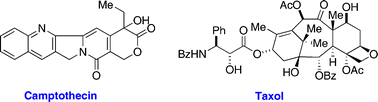 Applications of total synthesis toward the discovery of clinically ...