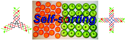 Geometric self-sorting in DNA self-assembly - Chemical Communications ...