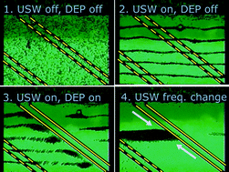 Ultrasonic standing wave manipulation technology integrated into a ...