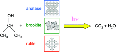 Preparation and photoactivity of nanostructured anatase, rutile and ...