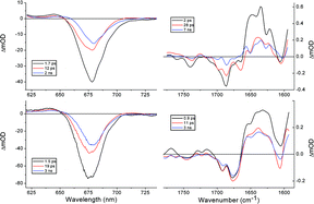 Time-resolved methods in biophysics. 5. Femtosecond time-resolved and ...