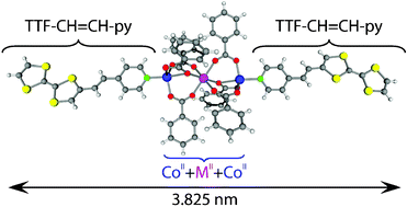 First trinuclear paramagnetic transition metal complexes with redox ...