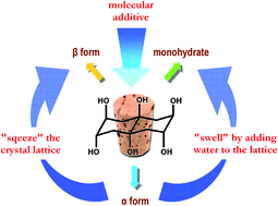 Additive induced polymorphous behavior of a conformationally locked ...