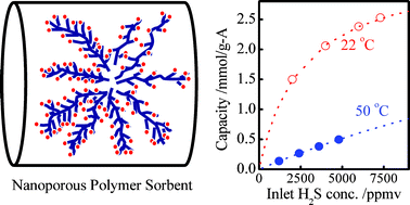 A nanoporous polymeric sorbent for deep removal of H2S from gas ...