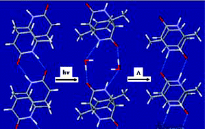Channels formation through photodimerization of guest molecules within ...