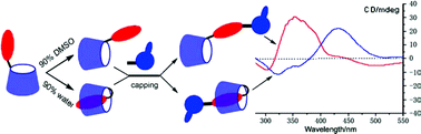 A light-driven [1]rotaxane via self-complementary and Suzuki-coupling ...