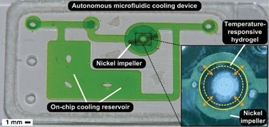 Autonomously-triggered microfluidic cooling using thermo-responsive ...