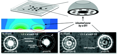 Electric field isolator (EFI) for isolated and electrophoretic ...