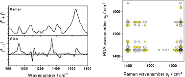 Two-dimensional Raman and Raman optical activity correlation analysis ...