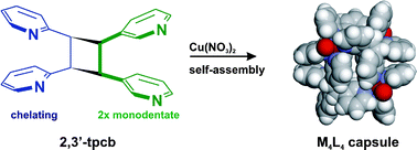 Coding a coordination-driven self-assembly via a hydrogen bond-directed ...
