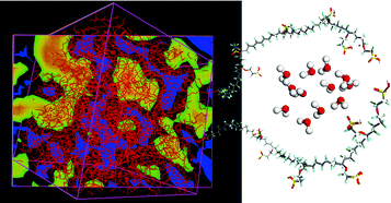 Modelling of morphology and proton transport in PFSA membranes ...