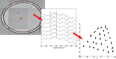 Drop coating deposition Raman spectroscopy of protein mixtures ...