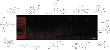 Small-molecule microarrays as tools in ligand discovery - Chemical ...