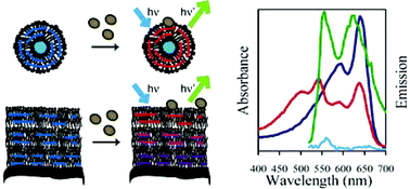 Biosensing with polydiacetylene materials: structures, optical ...