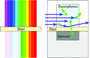 Optical filtering technologies for integrated fluorescence sensors ...