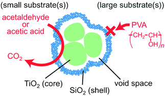 Encapsulation of titanium(iv) oxide particles in hollow silica for size ...