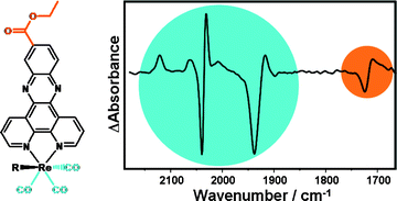 Probing intraligand and charge transfer excited states of fac-[Re(R)(CO ...