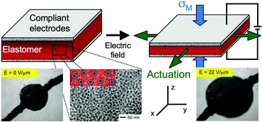 Dielectric elastomers as next-generation polymeric actuators - Soft Matter (RSC Publishing)