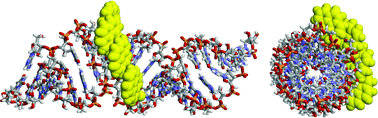 Pyrene aromatic arrays on RNA duplexes as helical templates - Organic ...