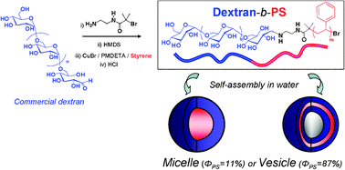Synthesis of ATRP-induced dextran-b-polystyrene diblock copolymers and ...