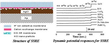 An all-solid-state reference electrode based on the layer-by-layer ...